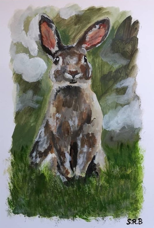 3 for 2 offer - Scottish wildlife collection - Wild Rabbit art print ...